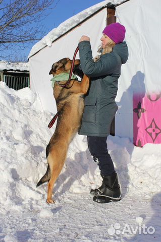 Безоговорочная любовь и преданность