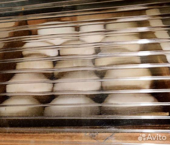 Инкубационное яйцо