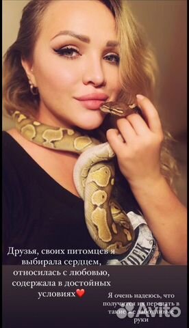 Змея