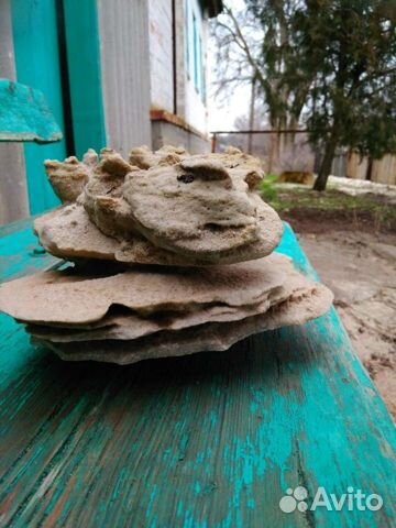 Камень песчаник
