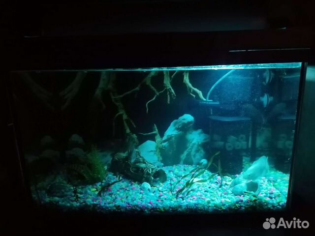 Аквариум