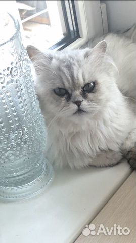 Персидская