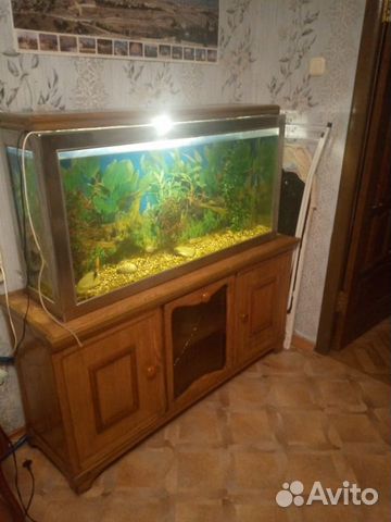 Продаю аквариум c рыбками