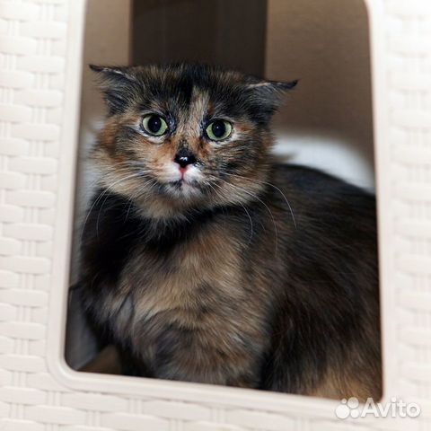 Злата,6 месяцев