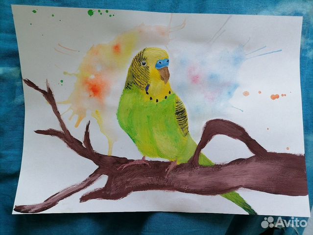 Волнистый попугай