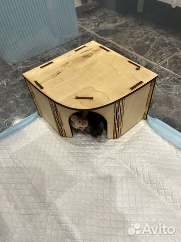 Декоративные мышки