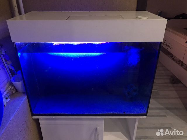 Аквариум на 135л
