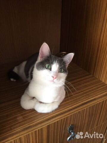 Заберите меня домой