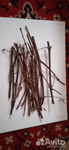 Виноградная лоза