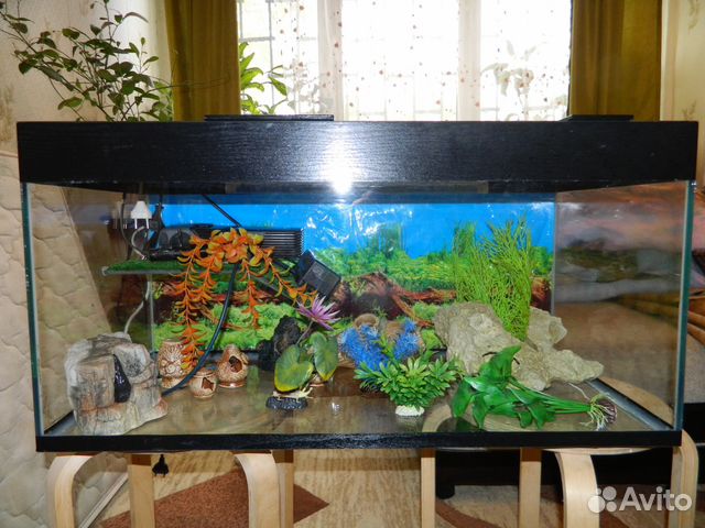 Аквариум на 100 литров