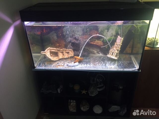 Аквариум