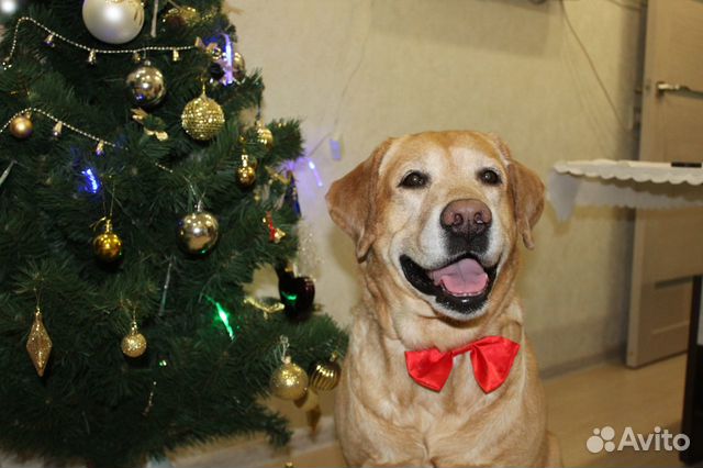 Парень в самом рассвете сил ищет подругу