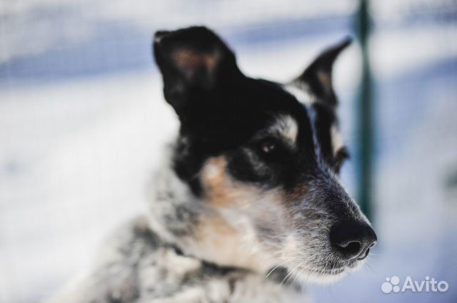 Барби девочка в крапинку