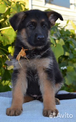 Малышка немочка