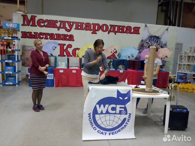 Черный принц