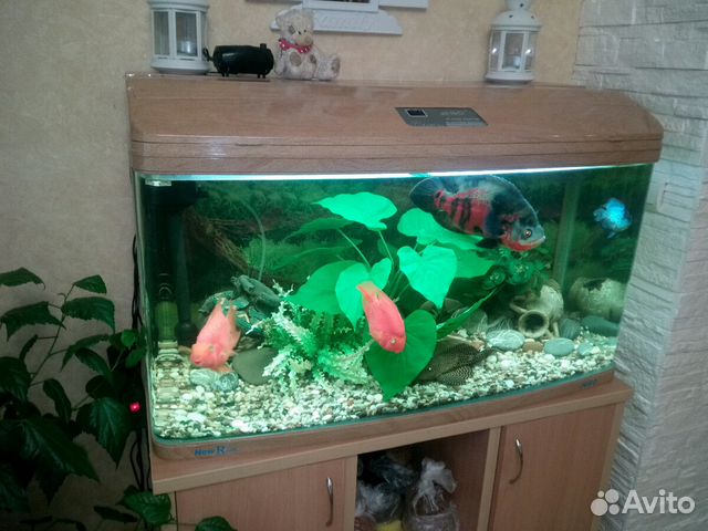 Аквариум