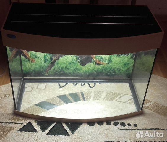 Аквариум Панорама -100 BioDesign с подсветкой