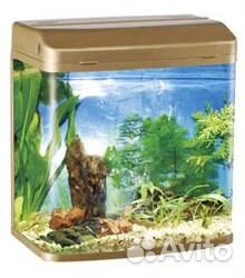 Продажа аквариумов