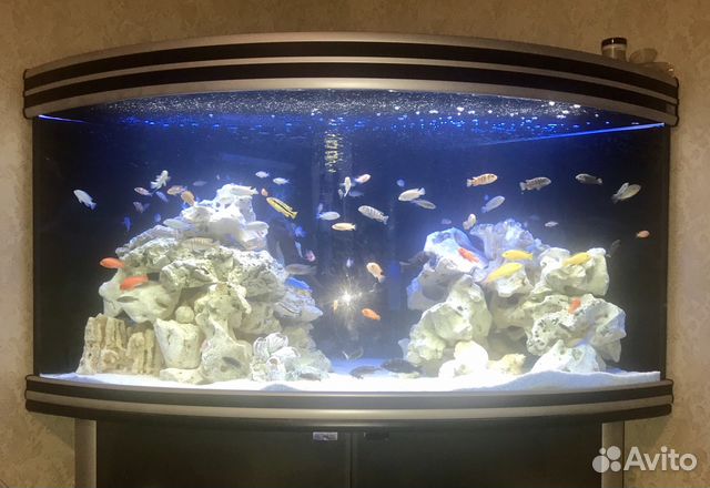 Аквариум Aquatlantis Evasion Corner 305 л