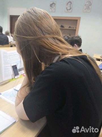 Енот лесной