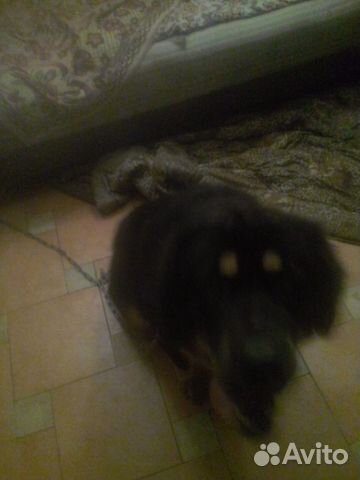 Эксклюзивно в крыму