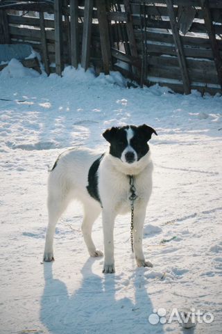 Пристраивается Мартин