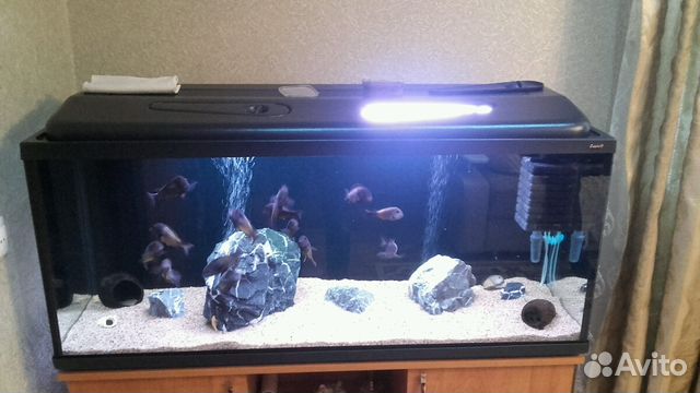 Камни в аквариум