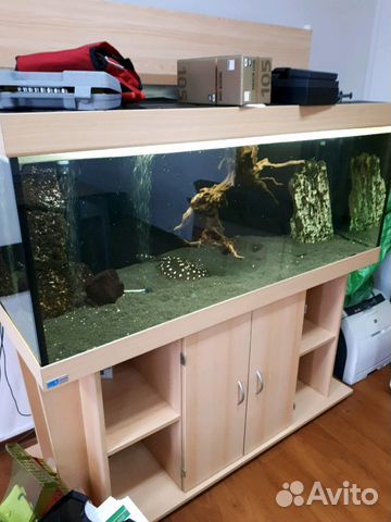 Аквариум
