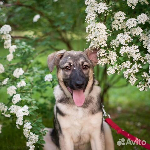 Юная красотка Хлоя ищет дом