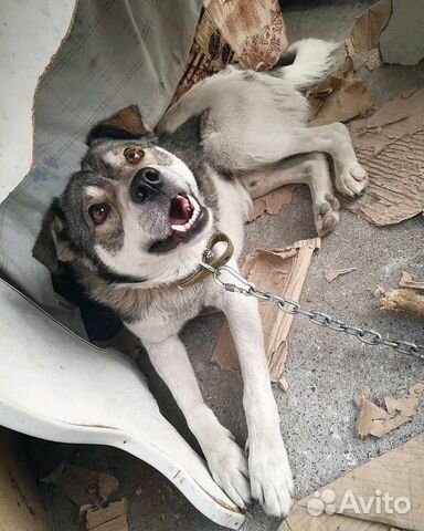 Ищу своих людей