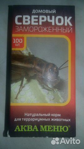 Сверчки и тараканы