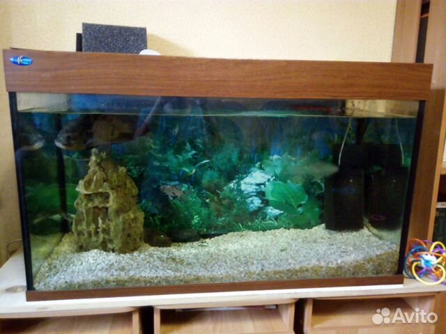 Аквариум
