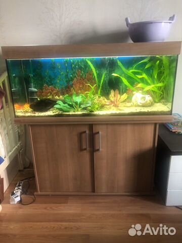 Аквариум eheim 240л