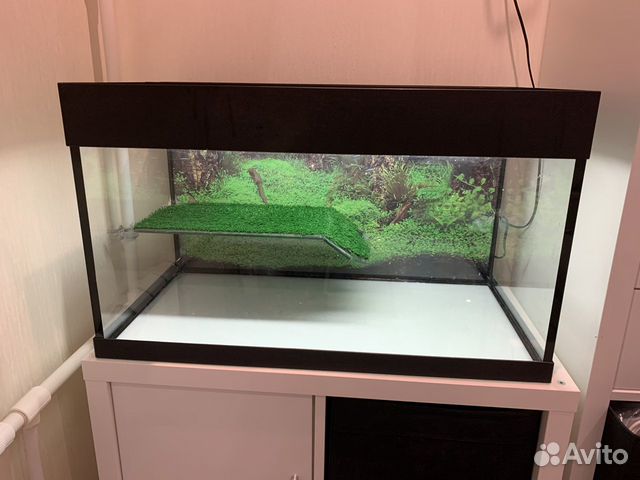 Акватеррариум для краснухой черепахи100л. с лампой