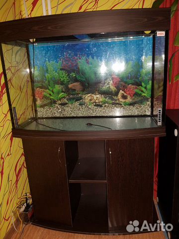 Аквариум аквас 230л с тумбой и фильтром eheim
