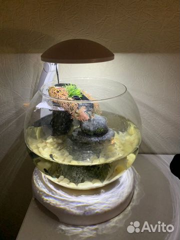 Аквариум с черепахой и рыбками