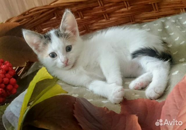 Ласковая и веселая кроха, 2 месяца