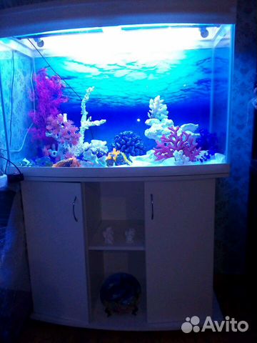 Аквариум 260л. Фильтр. Декорация. Оборудование