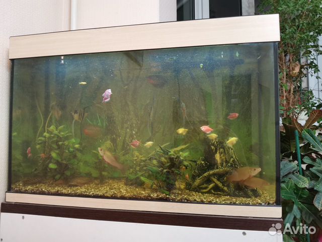 Аквариум 220 л(полная комплектация)