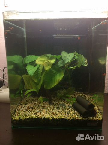 Аквариум Dennerle Nano 30 l