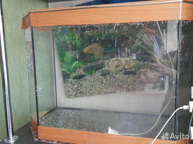 Аквариум, терариум