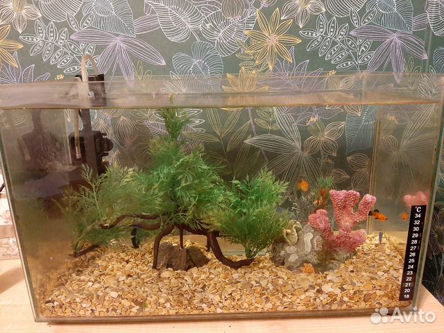 Аквариум с рыбками