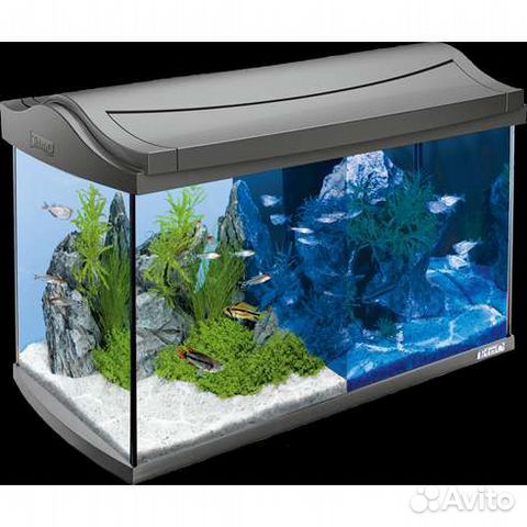 Аквариум Tetra AquaArt 60