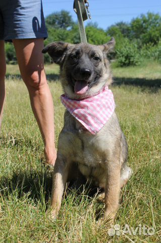 Нежная Малютка Кики ждёт хозяина