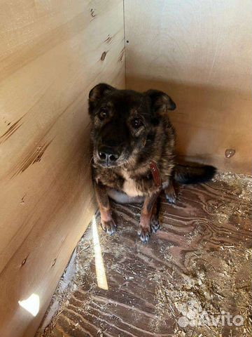 Я потерял все зубы