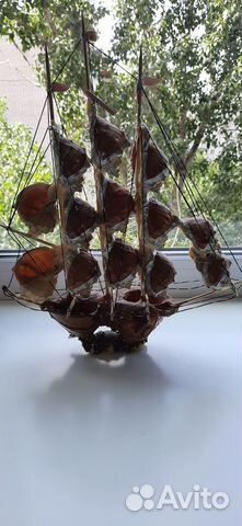 Ракушки кораблик