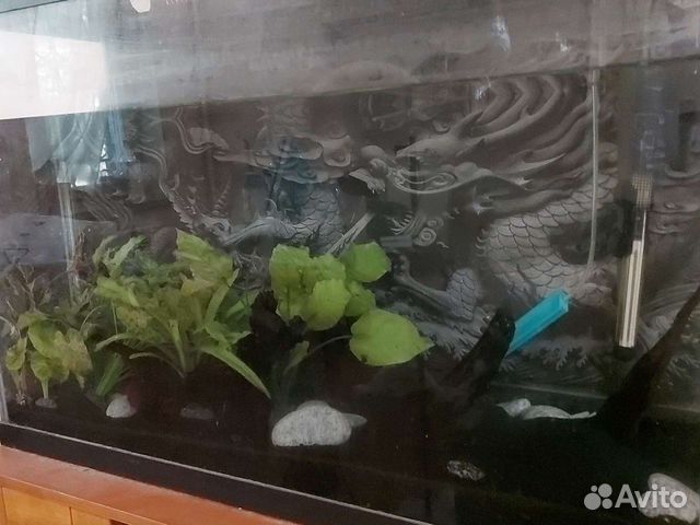 Аквариум, аквариумный фильтр fluval, насос eheim