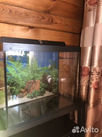 Аквариум