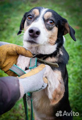 Спасена из черного поиюта
