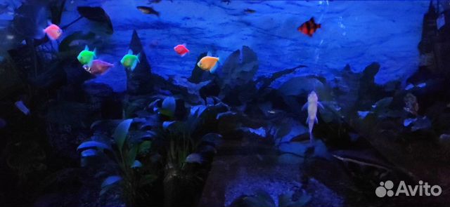 Аквариум с тумбой